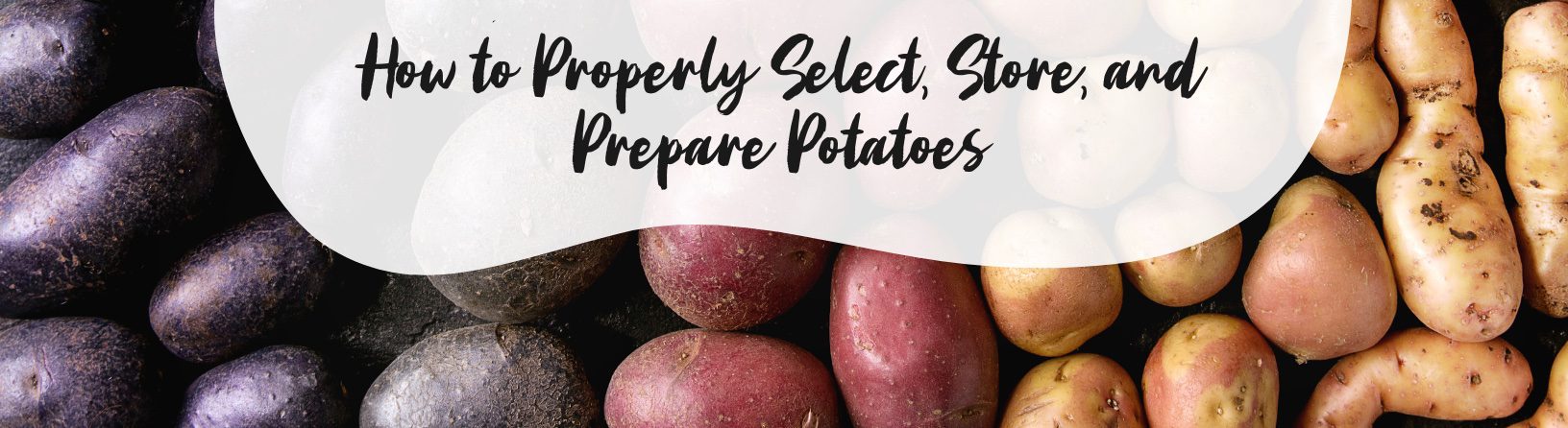 The Ultimate Guide to Potatoes | City Wide Produce