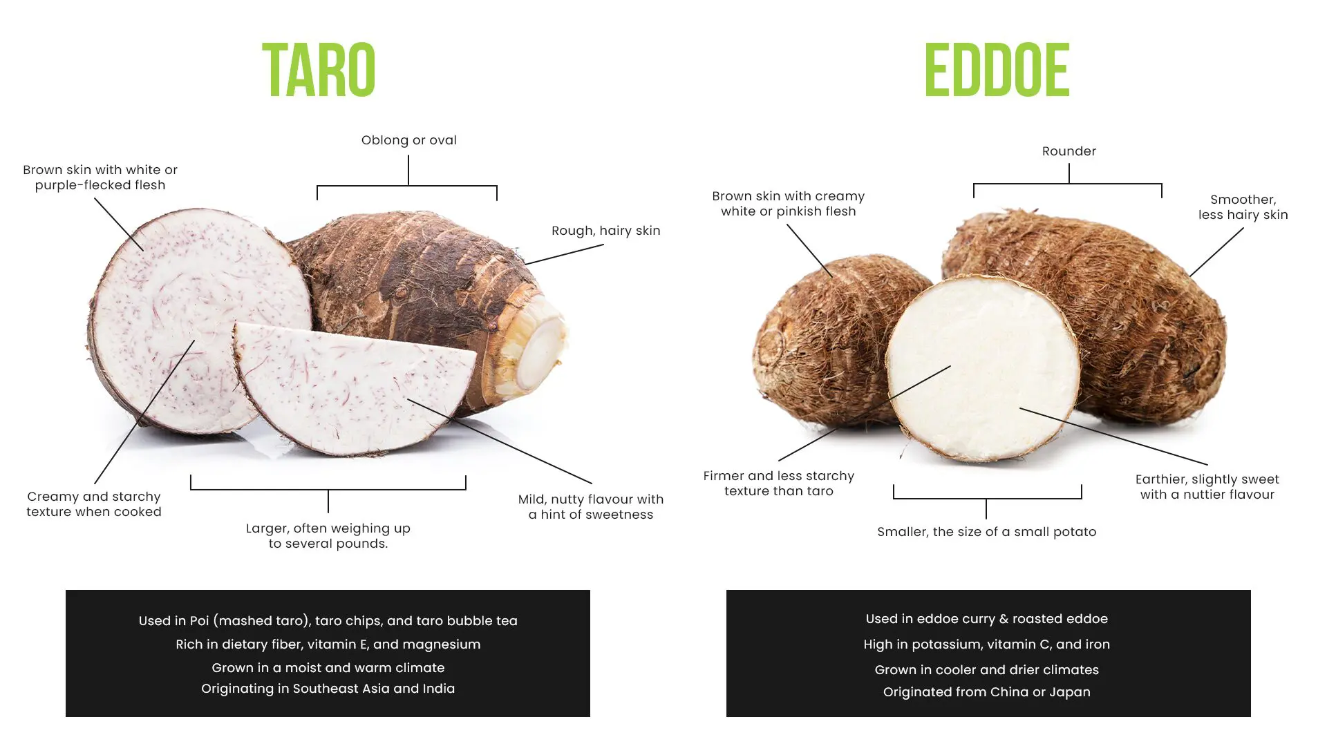 The Difference Between Taro & Eddoe | City Wide Produce